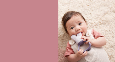 b.box® - award winning baby essentials – b.box for kids USA